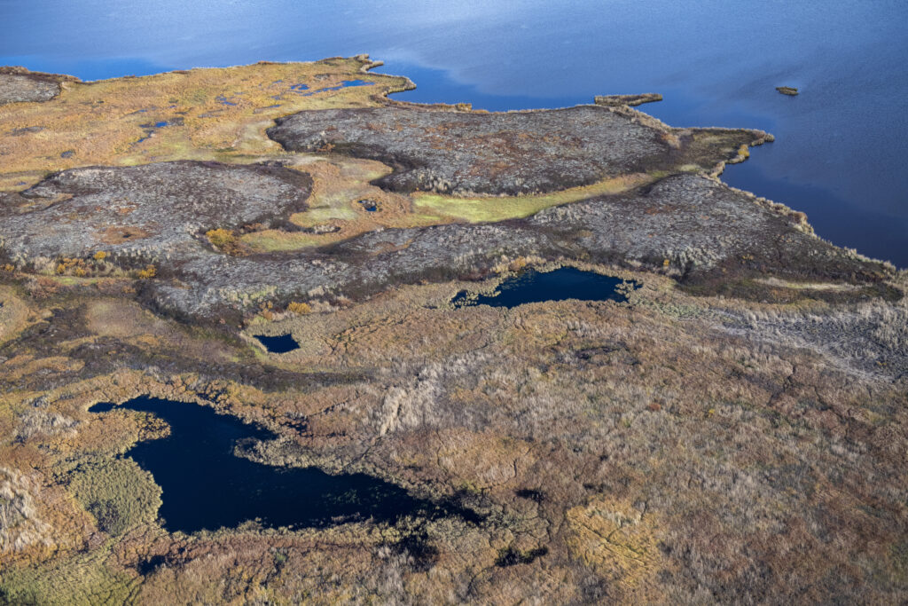 The Alaskan wilderness reveals the past and the future - Woodwell Climate