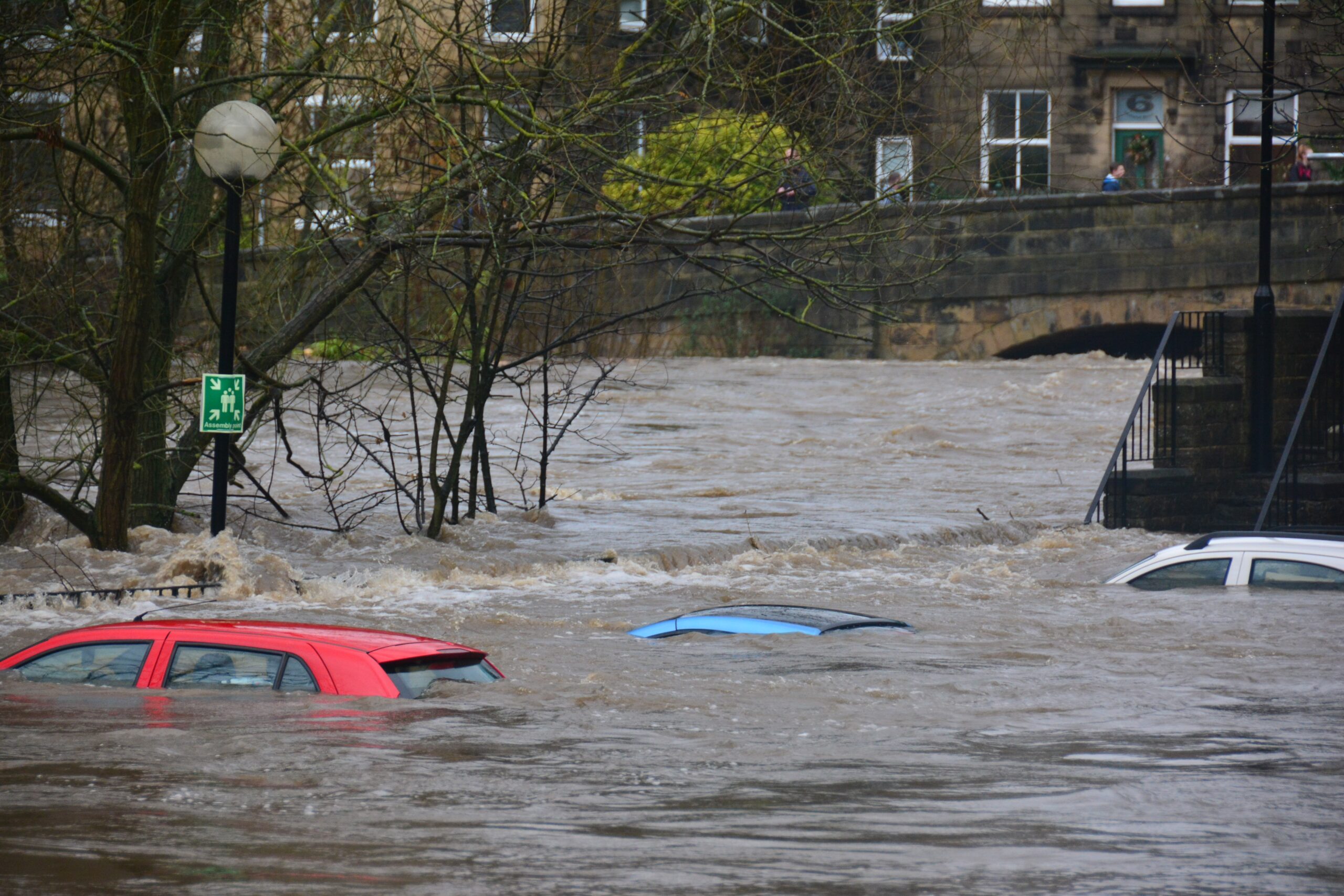 Scientists have a dire new warning about the state of the planet ...