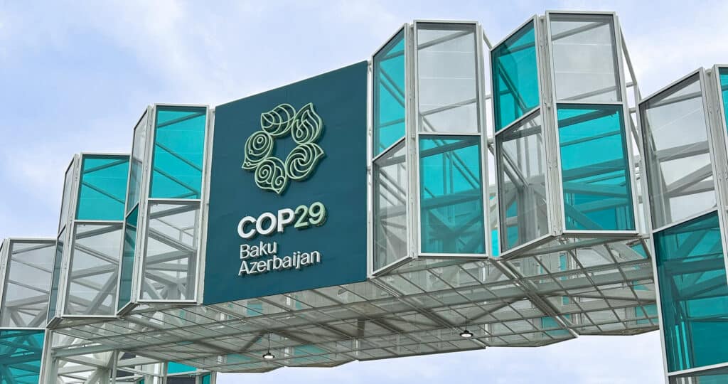 Key COP29 outcomes - Woodwell Climate