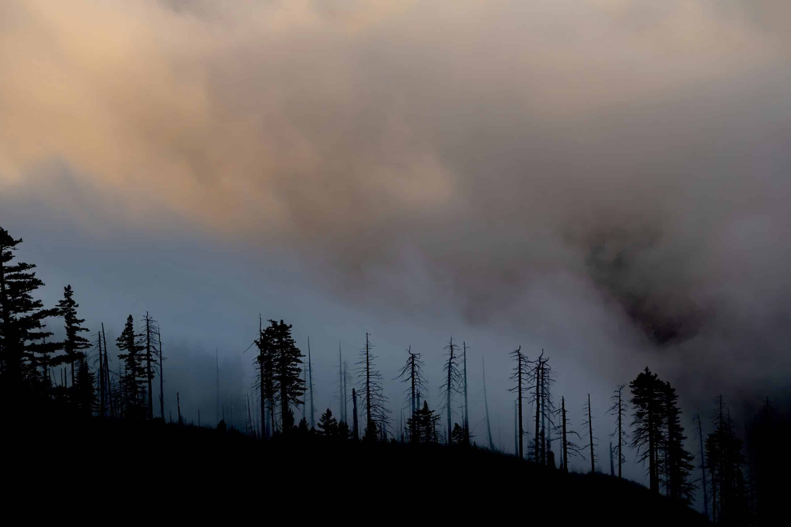 Fire on ice: The Arctic's changing fire regime - Woodwell Climate